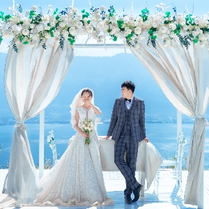 我是厂长我养猪 