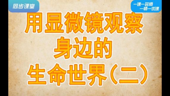 小学生科学动漫六年级下 用显微镜观察身边的生命世界#动植物科普