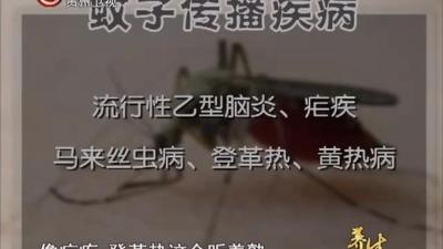小小蚊子竟可传播这么多种疾病,严重可致人死亡不容忽视