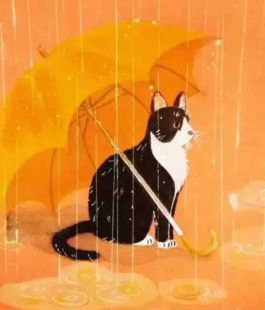 wanglinlang王琳琅 