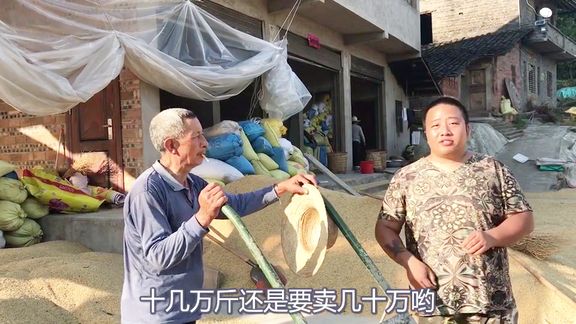 农村种植大户,一年只靠种水稻就能赚几十万,你心动了吗?