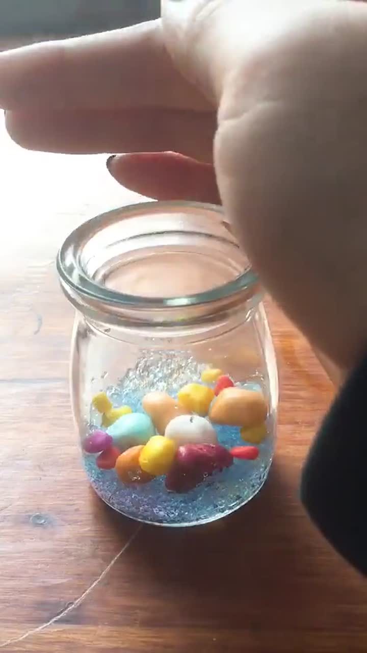 海底生态系,制作很简单