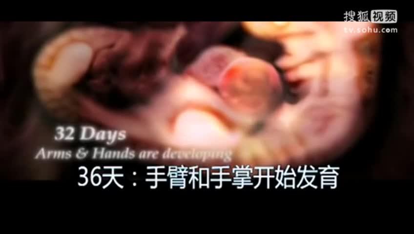 【翰林轩 优+学案系列 精彩推荐】婴儿的形成诞生 生孩子视频全部过程