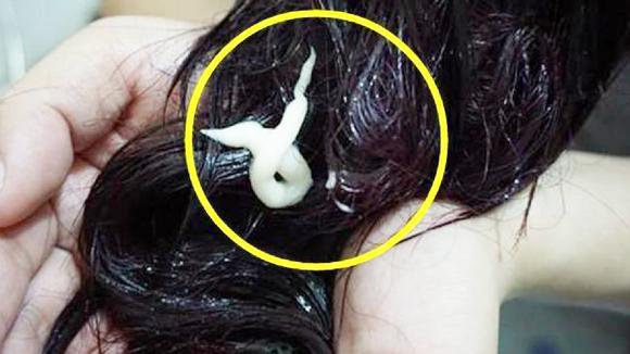 洗头时洗发水、护发素哪个先用?很多人都做错了,难怪掉发脱发