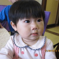 小小黑狗