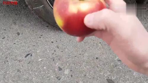 这样的实验我还是第一次见过,看着让人心疼,没见过这样的玩法