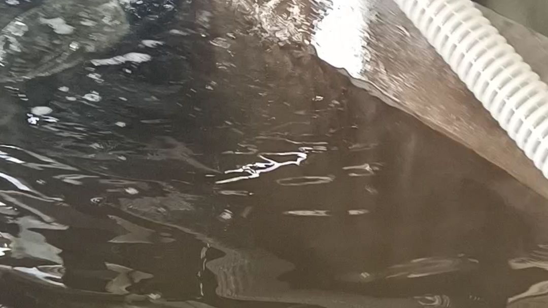 防静电pu塑筋软管@防阻燃pu钢丝软管/软管厂家