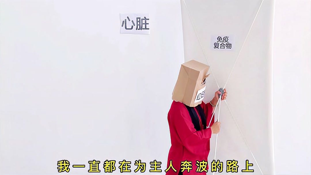 「知了生物」红细胞勤劳的一生