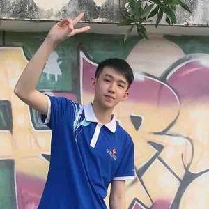 杨羊仔 