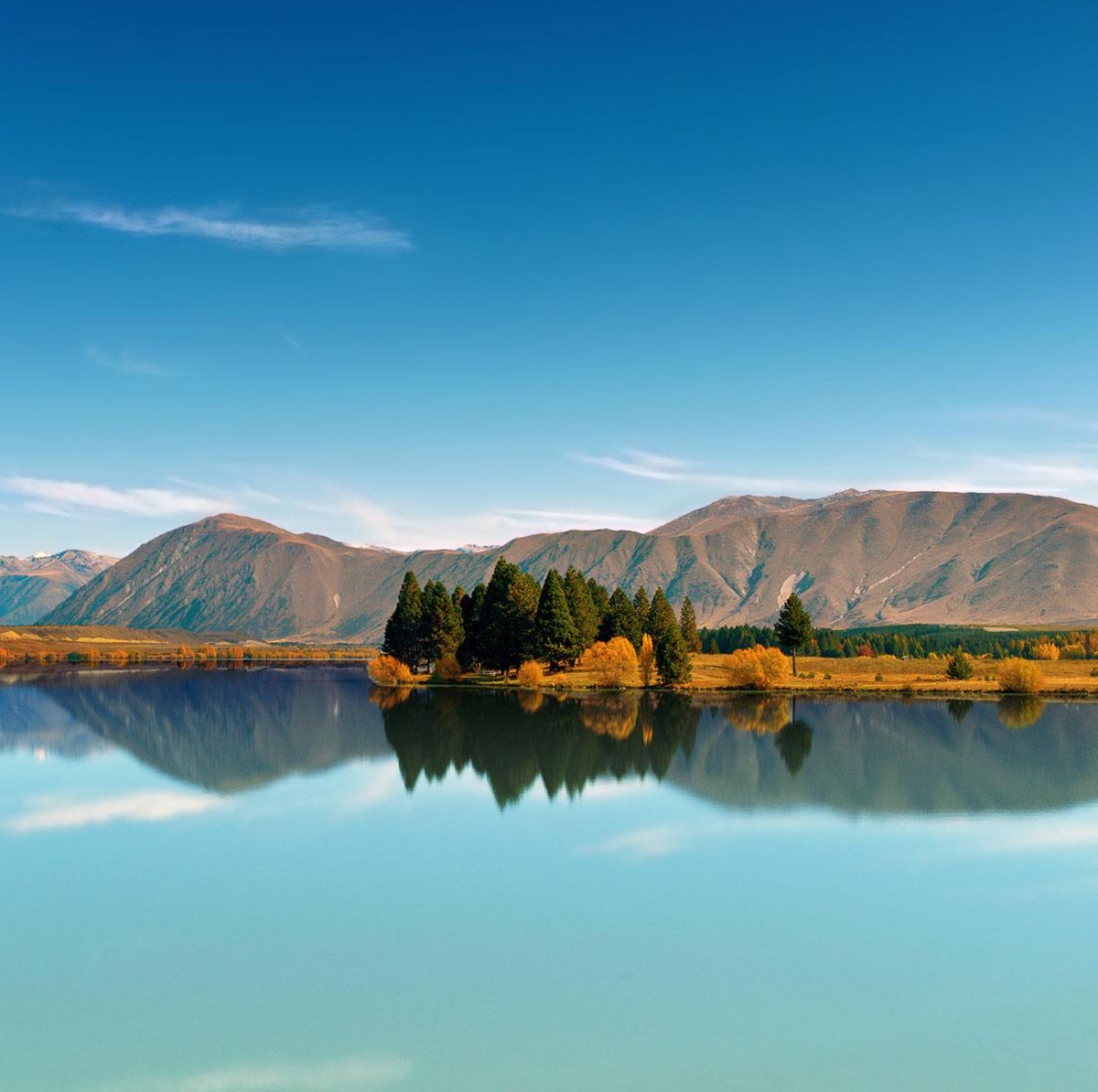 垚垚爱吃番茄打卤面 