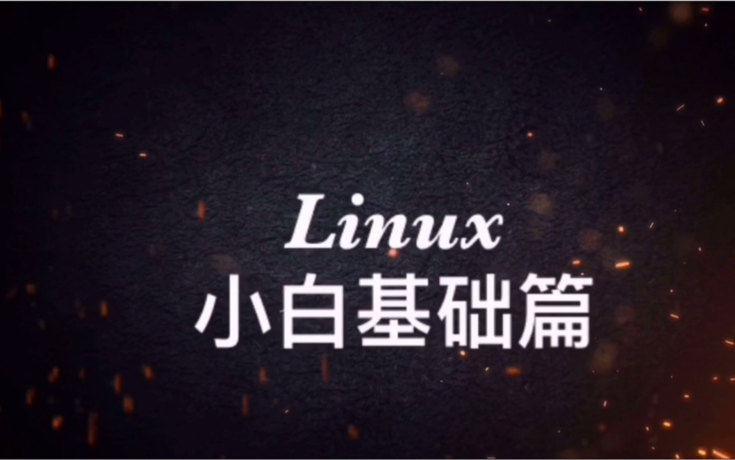 Linux零基础 小白 超精细讲解 Linux命令 乌班图操作系统