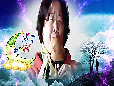 葫芦丝独奏《单簧管波尔卡》演奏:金鑫