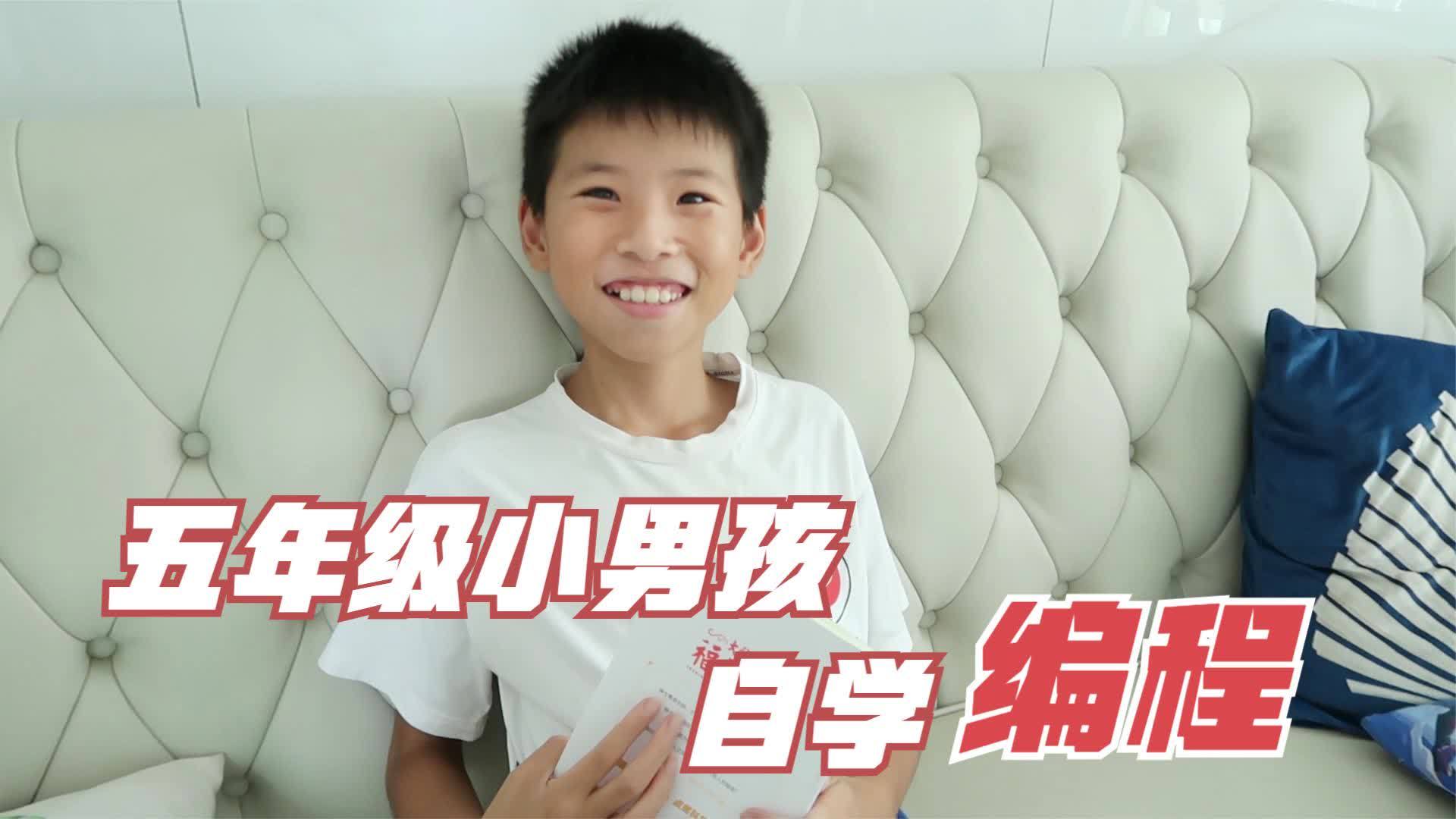 五年级小男孩,自学编程做植物大战僵尸,还赚到了一百零花钱