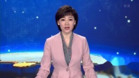 贯彻落实省委七届九次全会精神•全景新海南 东方:抢抓自贸港建设新...