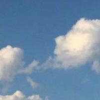 无拘无束的小王影视 