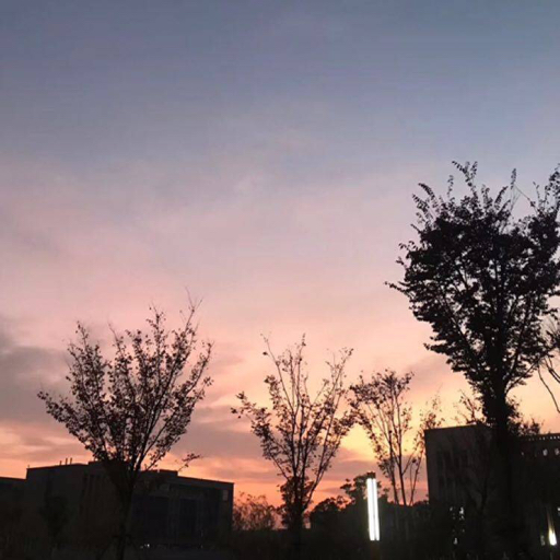 天道考研严老师 