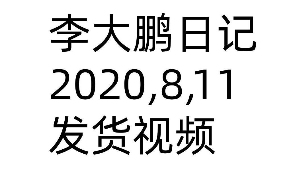 李大鹏日记-大学生创业计划书,教学!