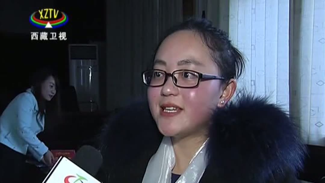 昌都:昌都市教育系统举行“两学一做”学习教育