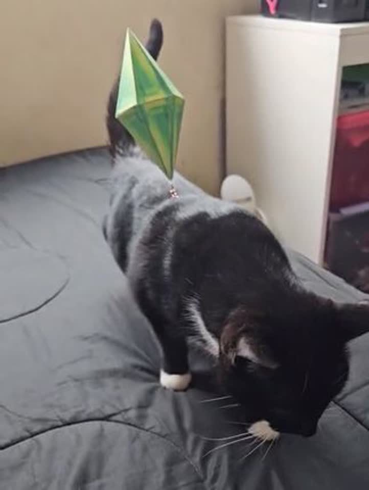 #猫咪 #记录猫咪日常 #模拟人生