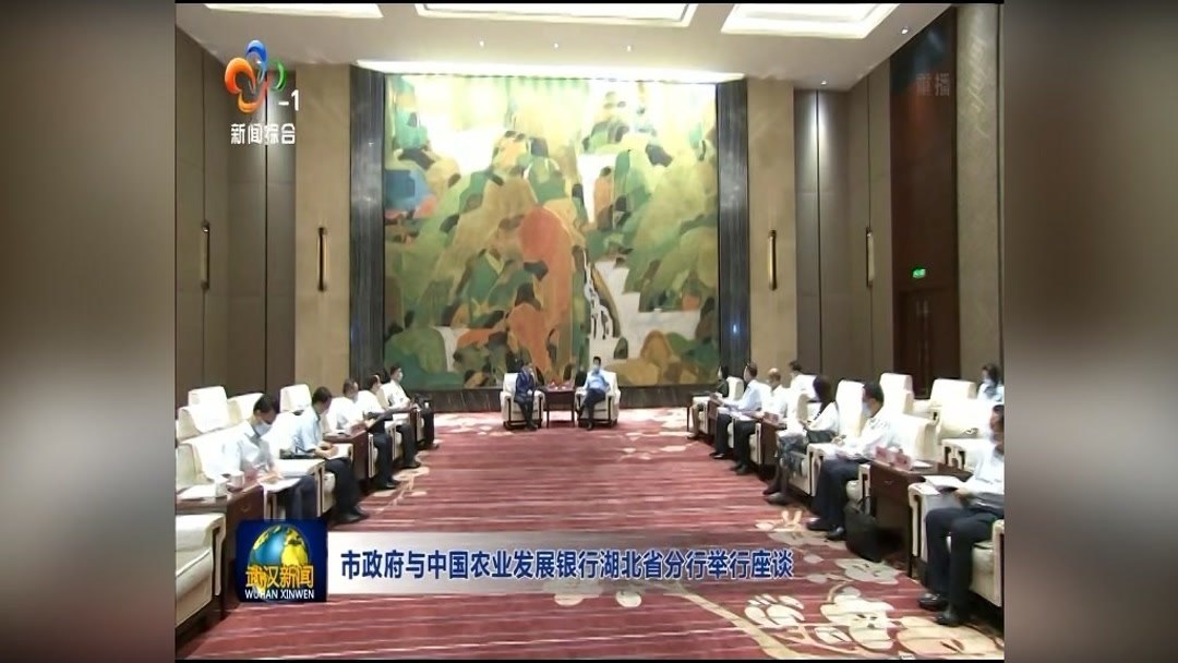 市政府与中国农业发展银行湖北省分行举行座谈