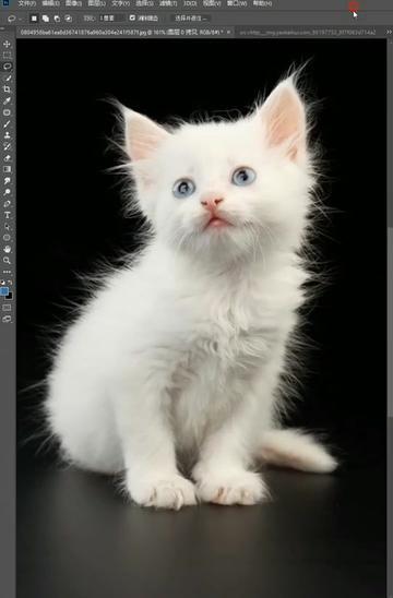 我来教你用正确方法抠毛发!抠图教程