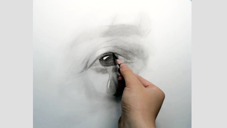 素描五官之素描眼睛速成教程