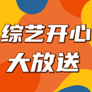 综艺开心大放送 