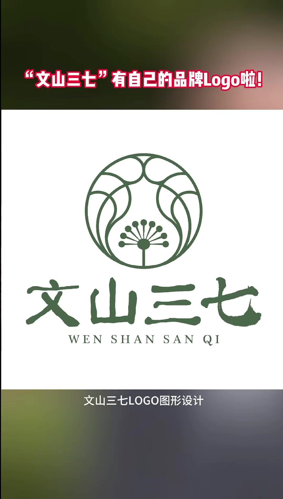 ...设计理念、蕴含意义是什么?且听细细道来 文山三七健康文化活动 文...