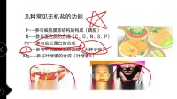 人教版高中生物(必修一)——第二章 第二节 细胞中的无机物