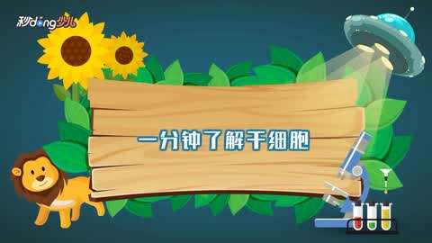 一分钟了解干细胞