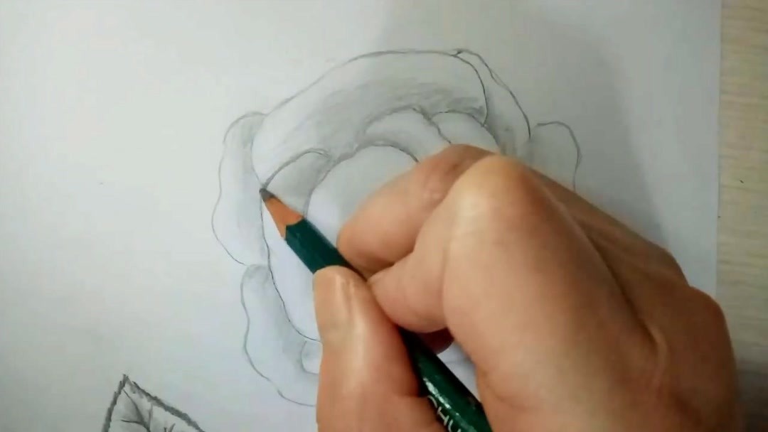 怎么才能画出花儿的立体感呢?正在寻找答案!