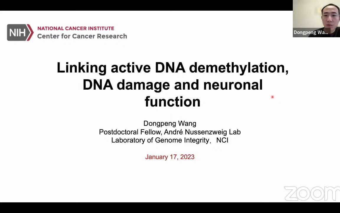CGM第326期:将活性DNA脱甲基化、DNA损伤和神经元功能联系起来