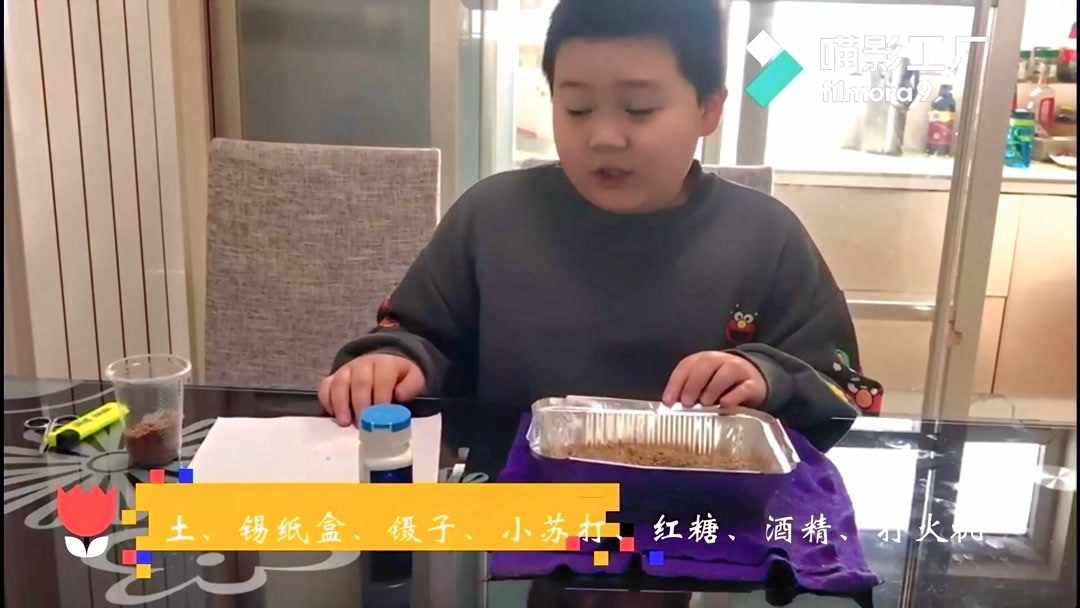 硕硕的实验课 科学小实验 法老之蛇实验