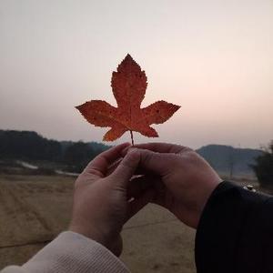 长夜鑫空 