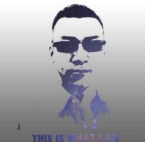 迷彩下的浣熊先生 