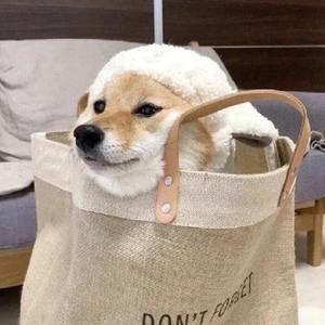 阿晴呐 