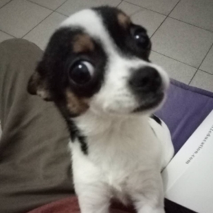 优酷用户1638770779110476 