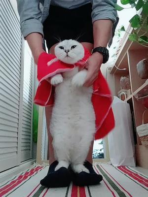 每日晨操舞蹈 #有丁有米 #丁米粉 #丁...