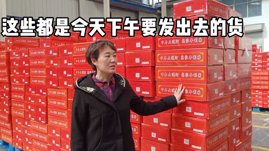 农村食品加工厂年赚百万,订单不断销往全国各地,年销售额多少?