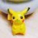 沈家七姑娘本人 