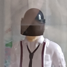 老蝶侠 