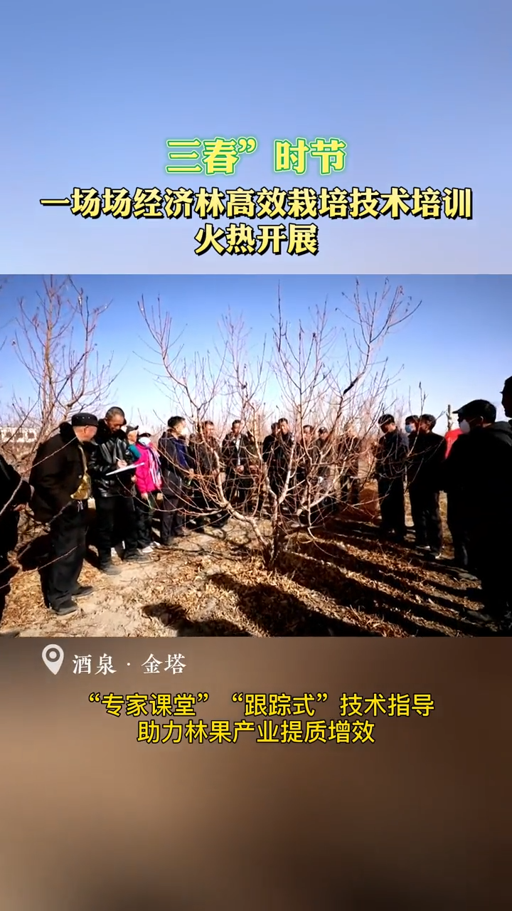 林业科技送“春风”,助力产业提质效