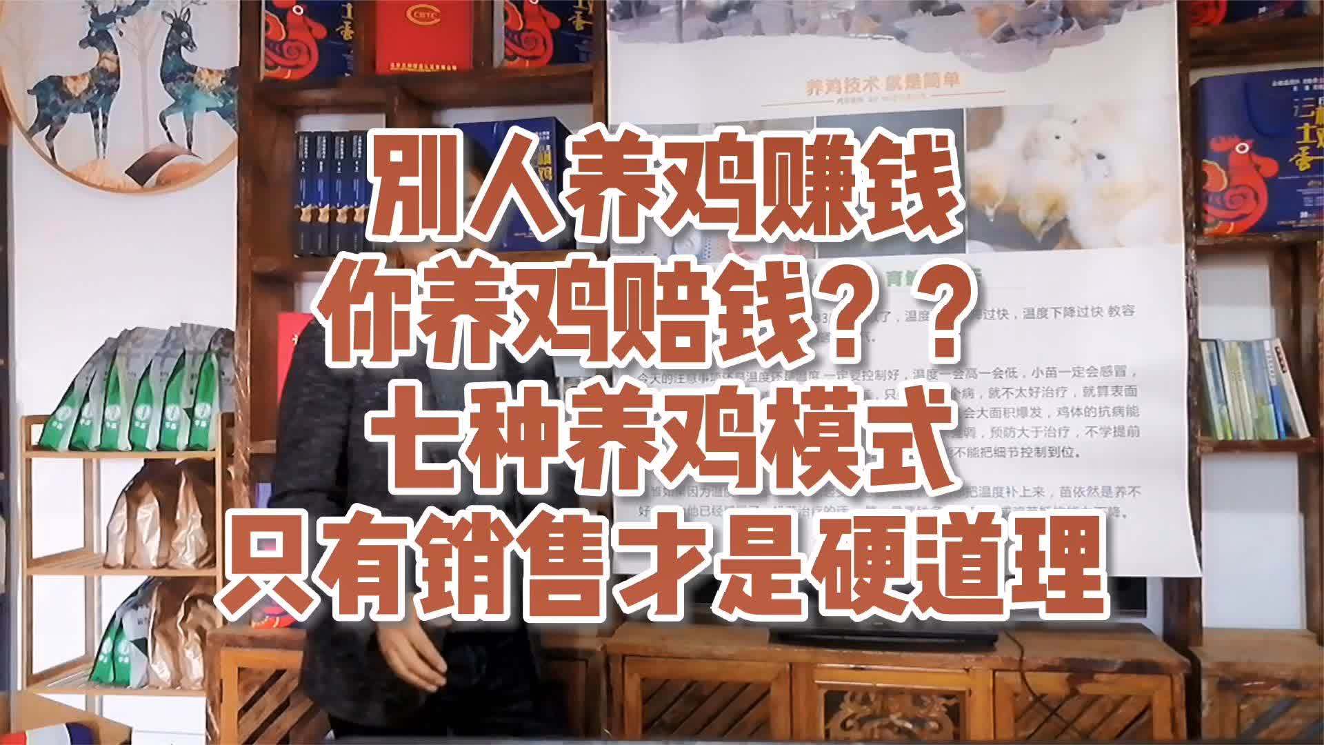 别人养鸡挣钱,你养鸡赔钱,七种养鸡模式 只有销售才是硬道理