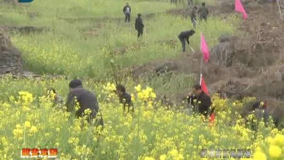 各地开展2018年义务植树活动