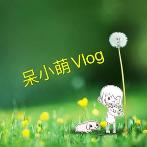 呆小萌日常Vlog 