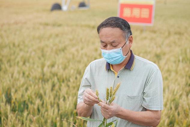 高标准农田建设工程耕地质量提升措施及成效