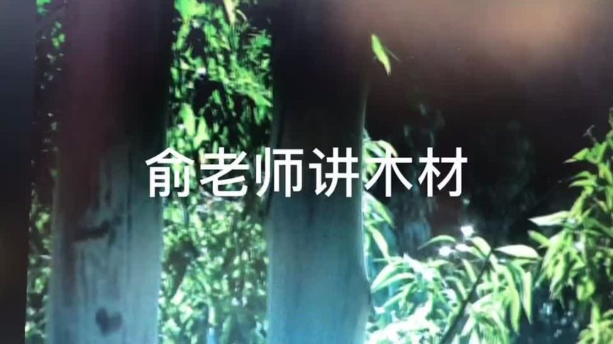 俞老师讲木材#自然 #健康#循环,可持续发展的林业资源