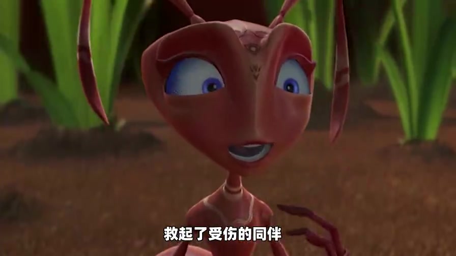 熊孩子捣毁蚂蚁窝,结果遭到蚂蚁报复,动画片《别惹蚂蚁》
