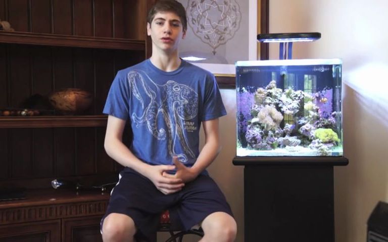 珊瑚礁水族箱紫外线消毒器