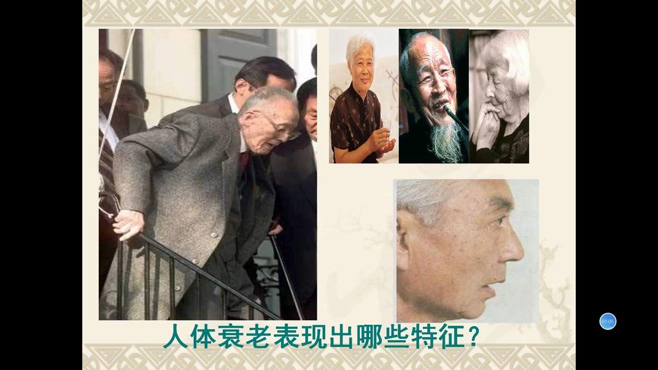 细胞的衰老和凋亡